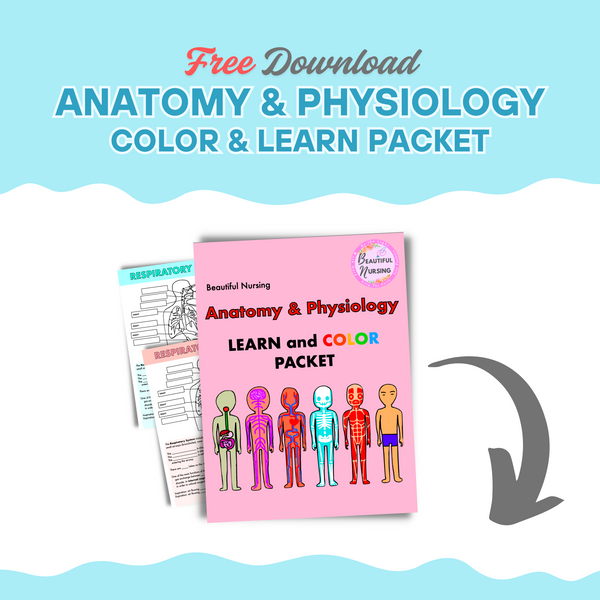 Anatomy & Physiology Packet – BeautifulNursing