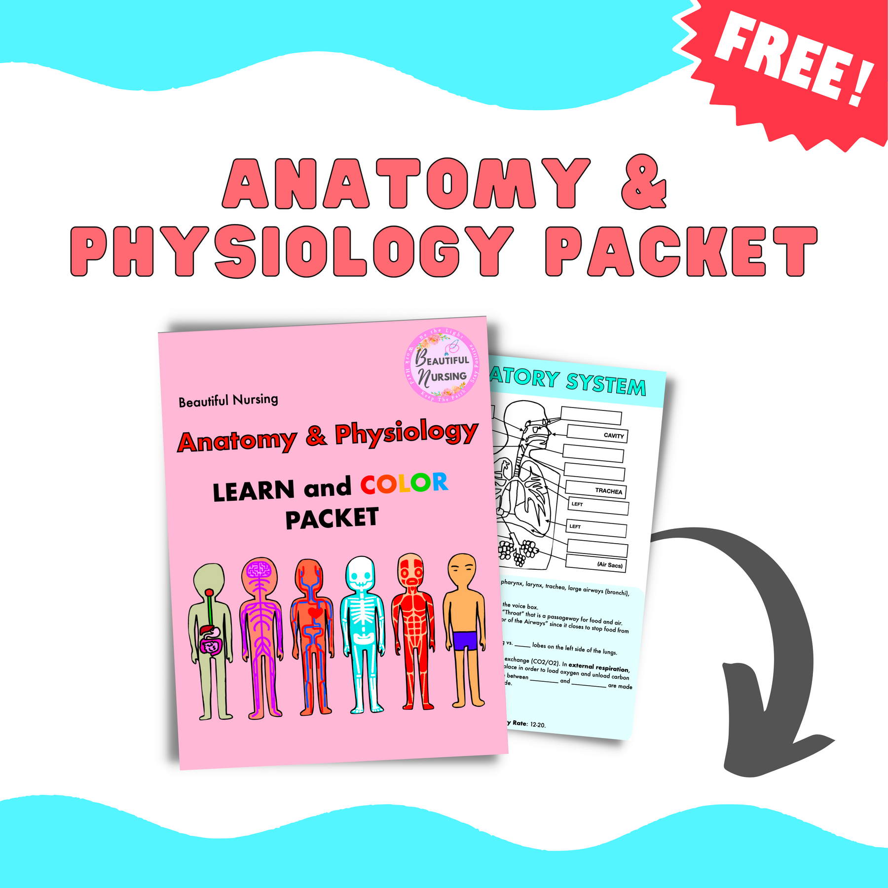 Anatomy & Physiology Packet – BeautifulNursing