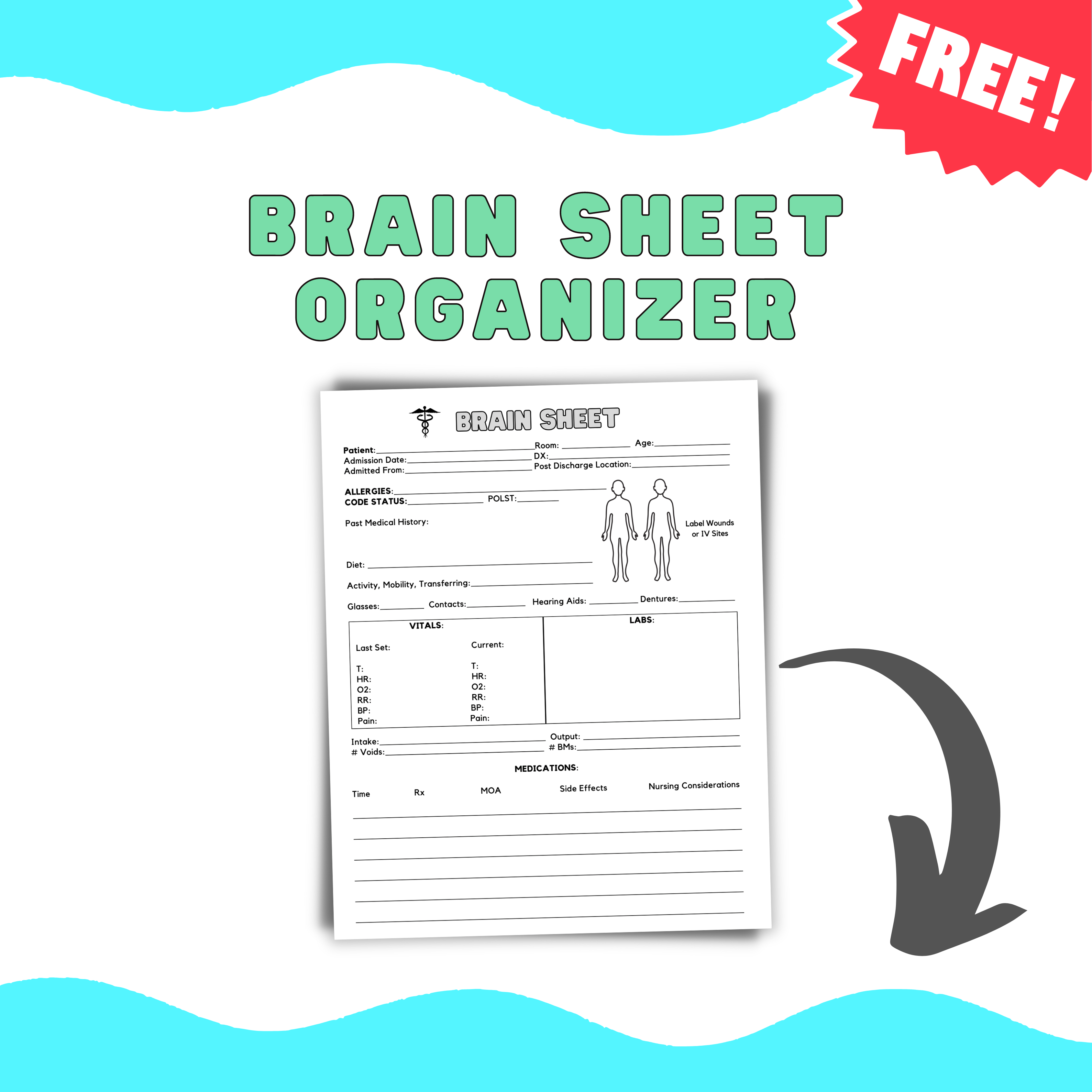 Brain Sheet Organizer – BeautifulNursing